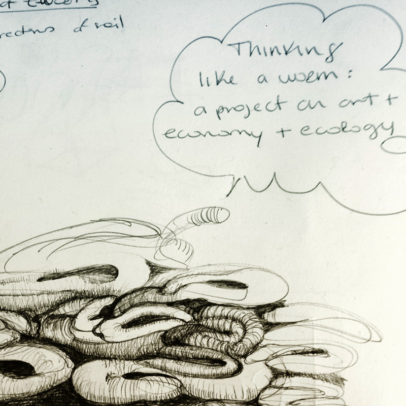 e-worm | Worm Culture